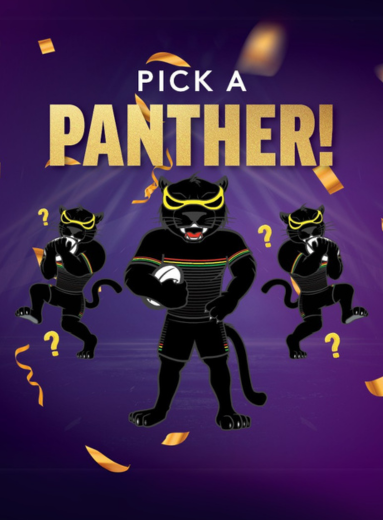 Home - Panthers Bathurst